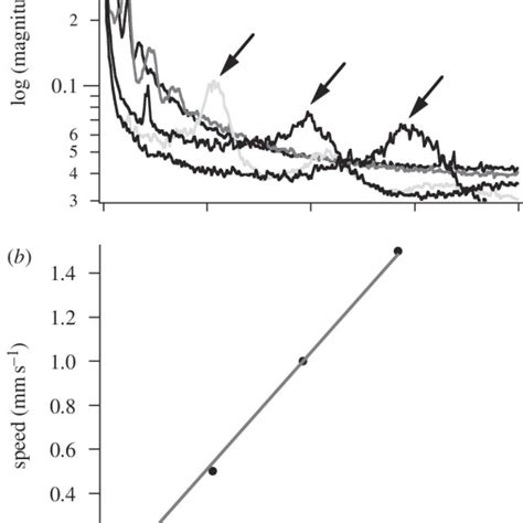 Stick Slip Frequency Analysis Of The Gsa A The Averaged Fft Download Scientific Diagram