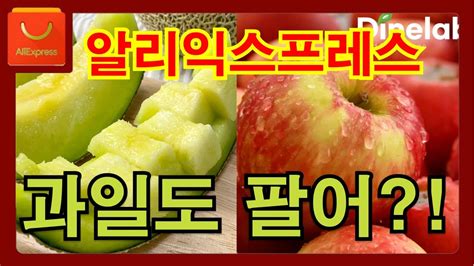 알리익스프레스 내가두고두고 사먹으려고 만든 과일 영상 12 가지 Youtube