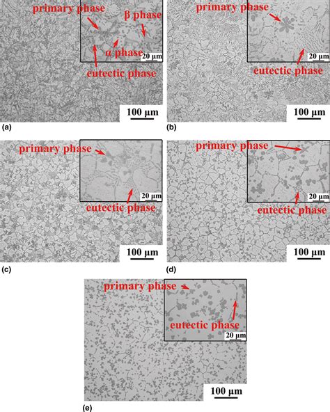 Brass Microstructure