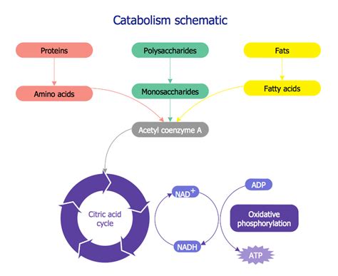 Biology Solution