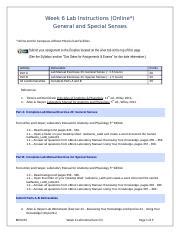 LAB Docx Week Lab Instructions Online General And Special Senses Online And For Campuses