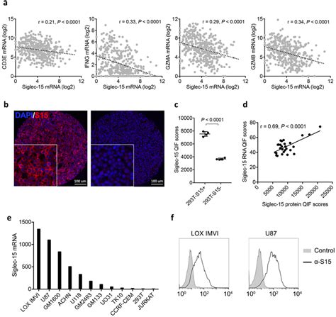 Siglec 15 As An Immune Suppressor And Potential Target For Normalization Cancer Immunotherapy
