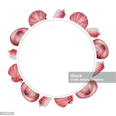조개 껍질이 있는 수채화 프레임입니다 흰색 고립된 배경에 수중 생물 물체를 손으로 칠하는 클립아트 디자이너 장식 엽서 포장지