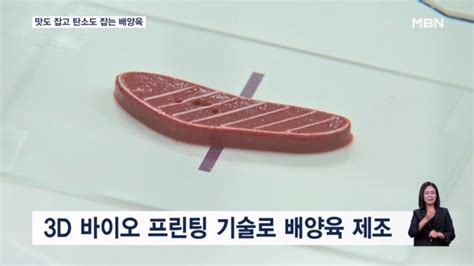 배양육도 3d 프린팅 시대맛도 잡고 탄소도 잡고