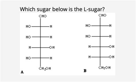 Biochemistry Exam 2 Flashcards Quizlet