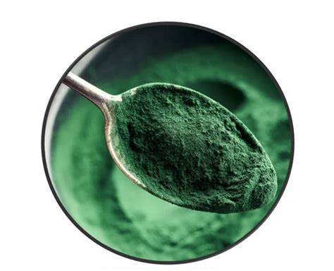 Green Spirulina Powder 25 Kg At ₹ 1800kg In Jaipur Id 2852686770355