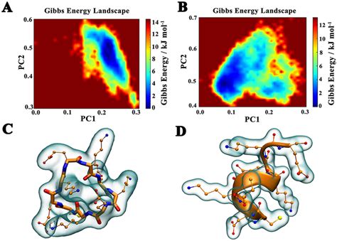 the gibbs free energy landscape plots obtained by md simulations for
