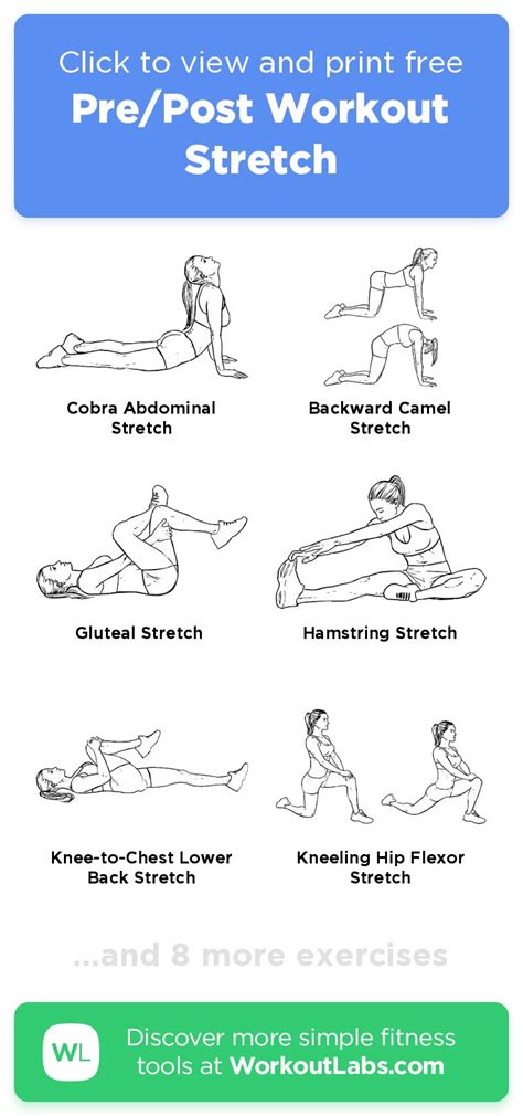 Pre Post Workout Stretch Click To View And Print This Illustrated
