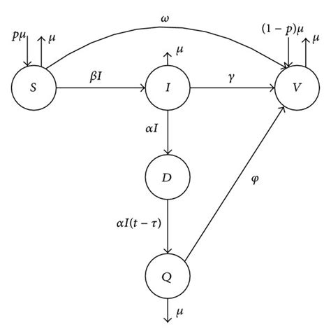 State Transition Diagram Of The Delayed Model Download Scientific