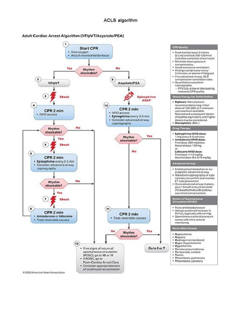 Acls Algorithm 2020 Pdf