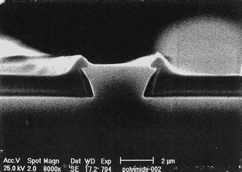 Scanning Electron Microscopy Image Of The Cleaved Transverse Cross Download Scientific Diagram