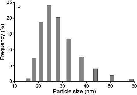 tem image a and the particle size distribution histogram b of the