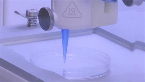 A Team Of Scientists Bioprinted A Vascularized Skin Graft Dnatives