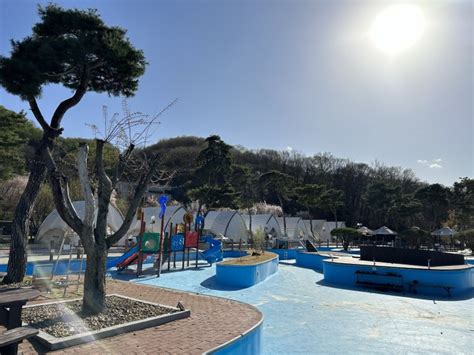 [세종 다온숲] 수영장 워터슬라이드가 있는 글램핑장에 다녀왔습니다 내부 불멍 오로라가루 네이버 블로그