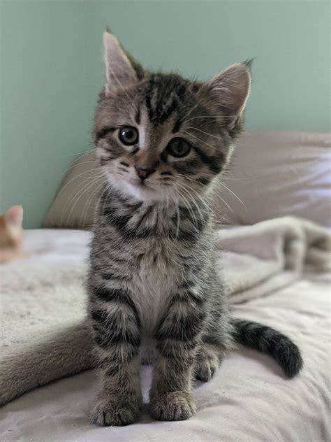 Imgur Com On Reddit Com