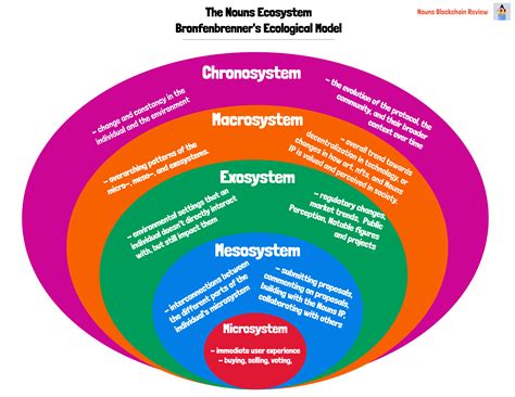 The Nouns Ecosystem Through The Lens Of Bronfenbrenners Ecological Model
