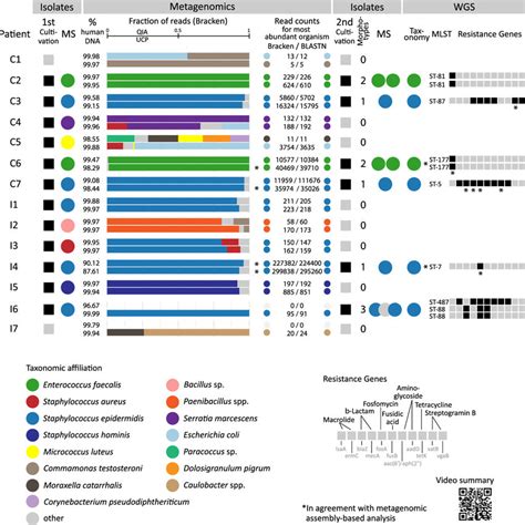 Of Cultivation Based Metagenomics And Whole Genome Sequence Analyses Download Scientific