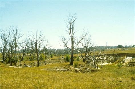 How Salinity Affects Plants Orchard Of Flavours