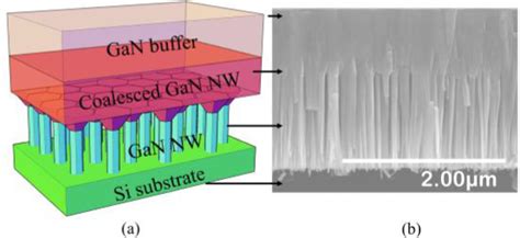 figure 1 from ingan gan quantum dots on silicon with coalesced nanowire