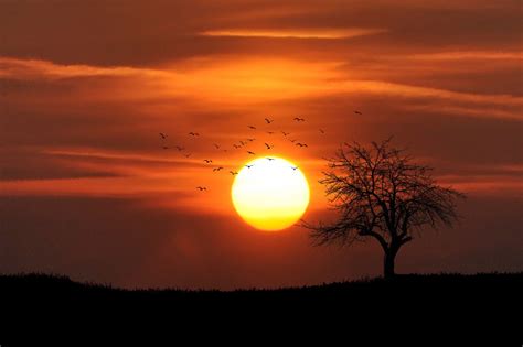 Free Images : landscape, outdoor, horizon, cloud, sunrise, sunset ...