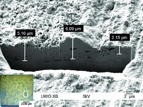 FIB Cut Cross Section Of The Small Patch On The D Exposed Sample Download Scientific