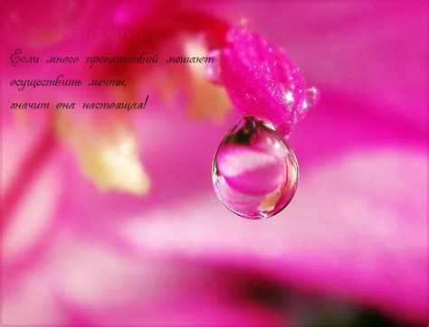 Картинки с надписями Если много препятствий мешают мечте