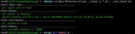 OpenImSdkWsPort Service Does Not Start Normally Not Initiated Port Is Issue