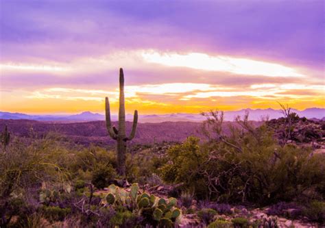 What To Do In Phoenix The Ultimate 5 Day Phoenix Itinerary