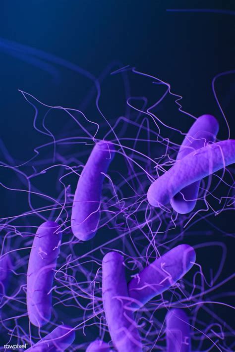 A Medical Illustration Of Clostridioides Difficile Bacteria Formerly