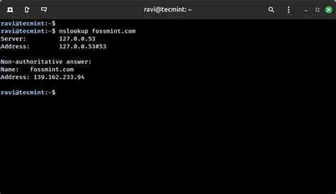 How To Install And Use Dig And Nslookup Commands In Linux Mega