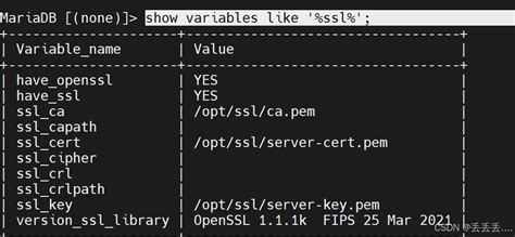 一键搞定：mariadb ssl 证书设置与主从同步详细教程 csdn博客