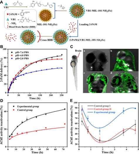 Recent Development Of Nanoparticle Platforms For Organophosphate Nerve Recent Development Of Nanoparticle Platforms For Organophosphate Nerve