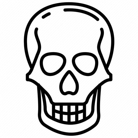 Skull Head Skullcap Brain Case Cranial Bones Icon Download On Iconfinder