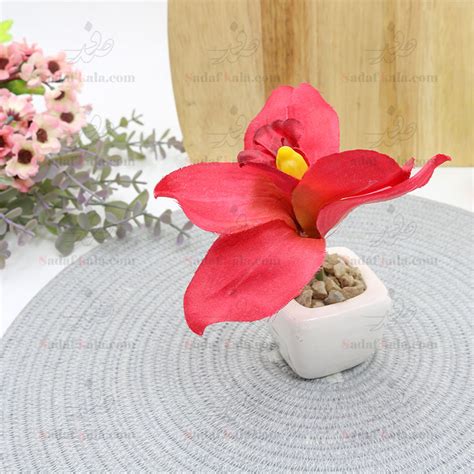 گل کوچک صدف کالا فروشگاه بزرگ صدف