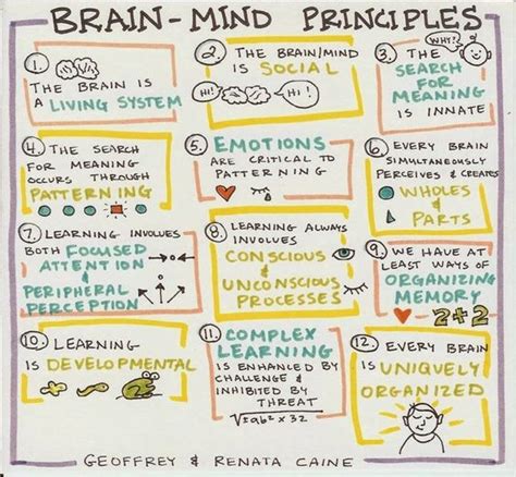 Brain Science Brain Mind Principles Used In Teaching Learning