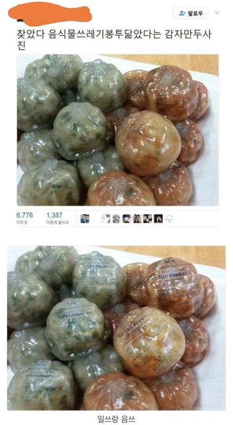 쓰레기봉투 닮았다는 만두  인스티즈 Instiz 이슈 카테고리