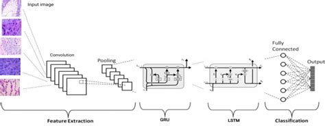 Integrating Convolutional And Recurrent Neural Networks For Lung And Colon Dr Yadvendra