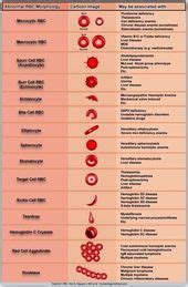 12 Hematology Nursing Cheat Sheets Ideas Hematology Hematology