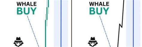 Unlocking Wallet Tracking Secrets For Meme Coin Success In 2025 Meme Insider