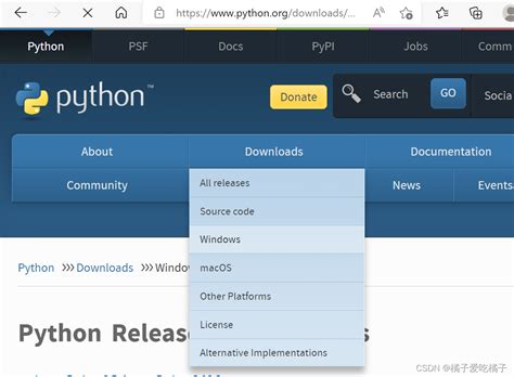 Python开发的环境安装和配置python配置 Csdn博客