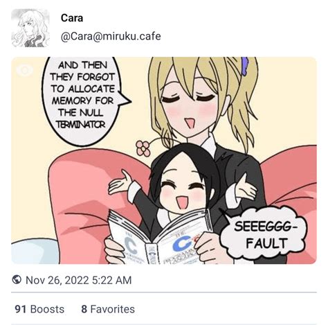 Seg Fault D Rprogrammerhumor