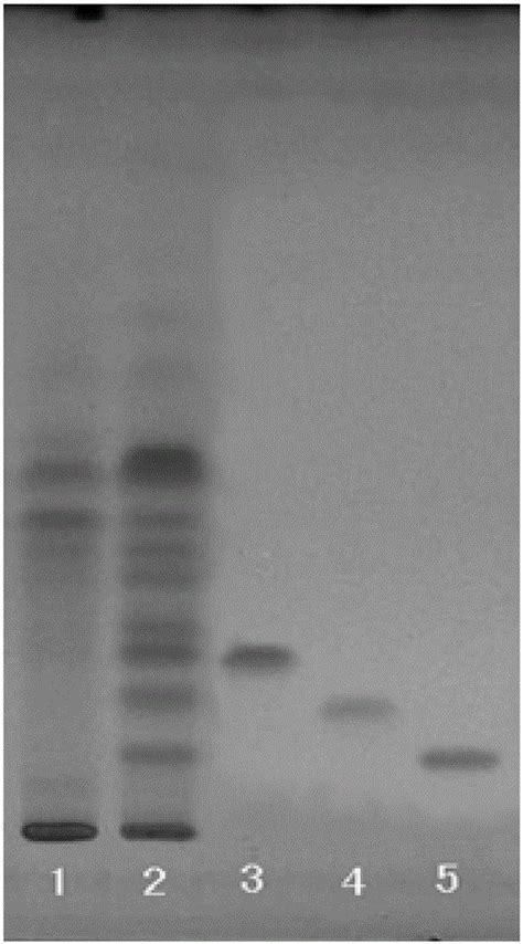 Reversed Phase Thin Layer Chromatographic Method For Identifying Florists Chrysanthemum And Bo