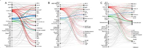 Alluvial Plots Illustrating The Performance Of Pwms From Particular Download Scientific Diagram