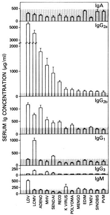 Serum Ig Levels After Viral Infection Groups Of 5 19 Cba Rij Mice Were Download Scientific