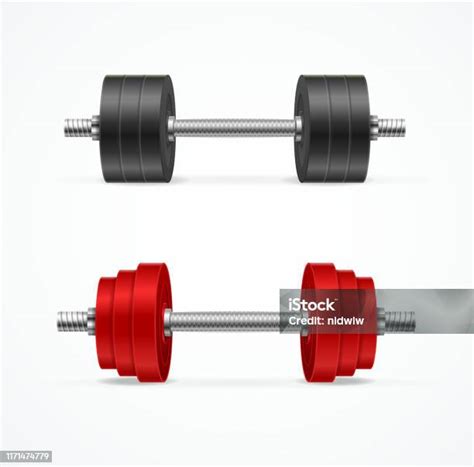 현실적인 상세한 3d 다른 아령 세트 벡터 0명에 대한 스톡 벡터 아트 및 기타 이미지 0명 3차원 형태 개념 Istock