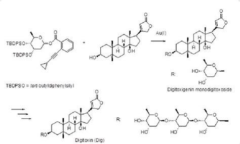 Synthesis Of Digitoxin By Using Anomeric O Alkanylbenzoate Synthon In