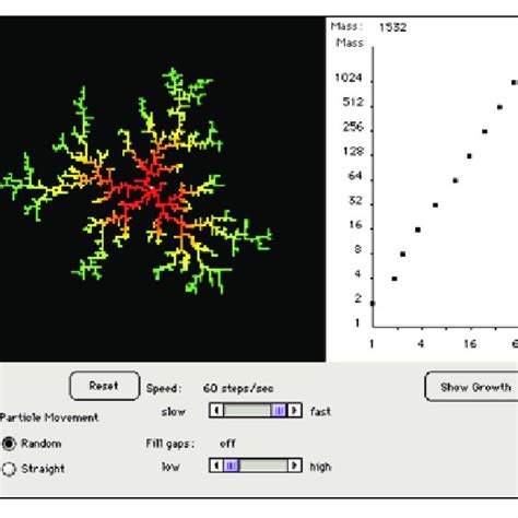 Computer Simulation For Aggregate Growth By Diffusion An Incoming