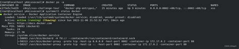解决：虚拟机重启后docker容器无法访问docker 网络 虚机 无法 连接 Csdn博客