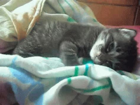 Nap Time S