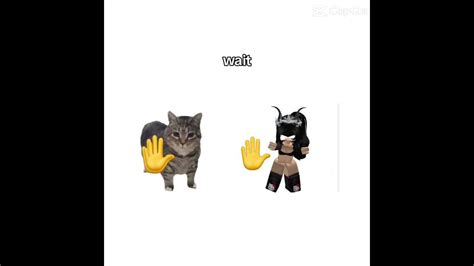 Wait Cat Version Youtube